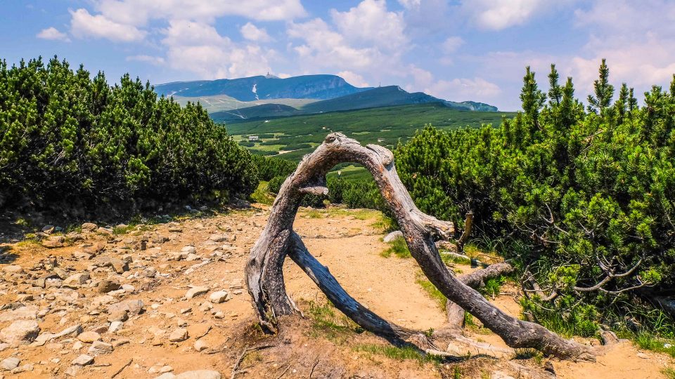 The well-kept Bucegi Mountains mystery beneath the Romanian Sphynx
