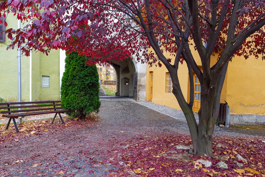 Harvest season traditions and celebrations in Romania