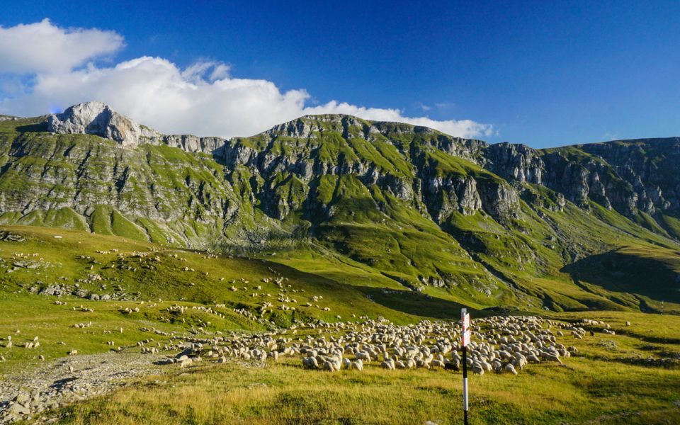 Bucegi mountains tour - RomaniaTourStore