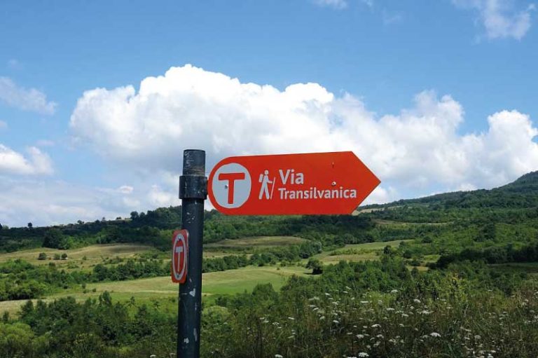 Exploring the Hungarian Community in Transylvania